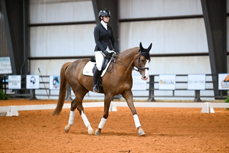 Contact Us | UConn Dressage Team