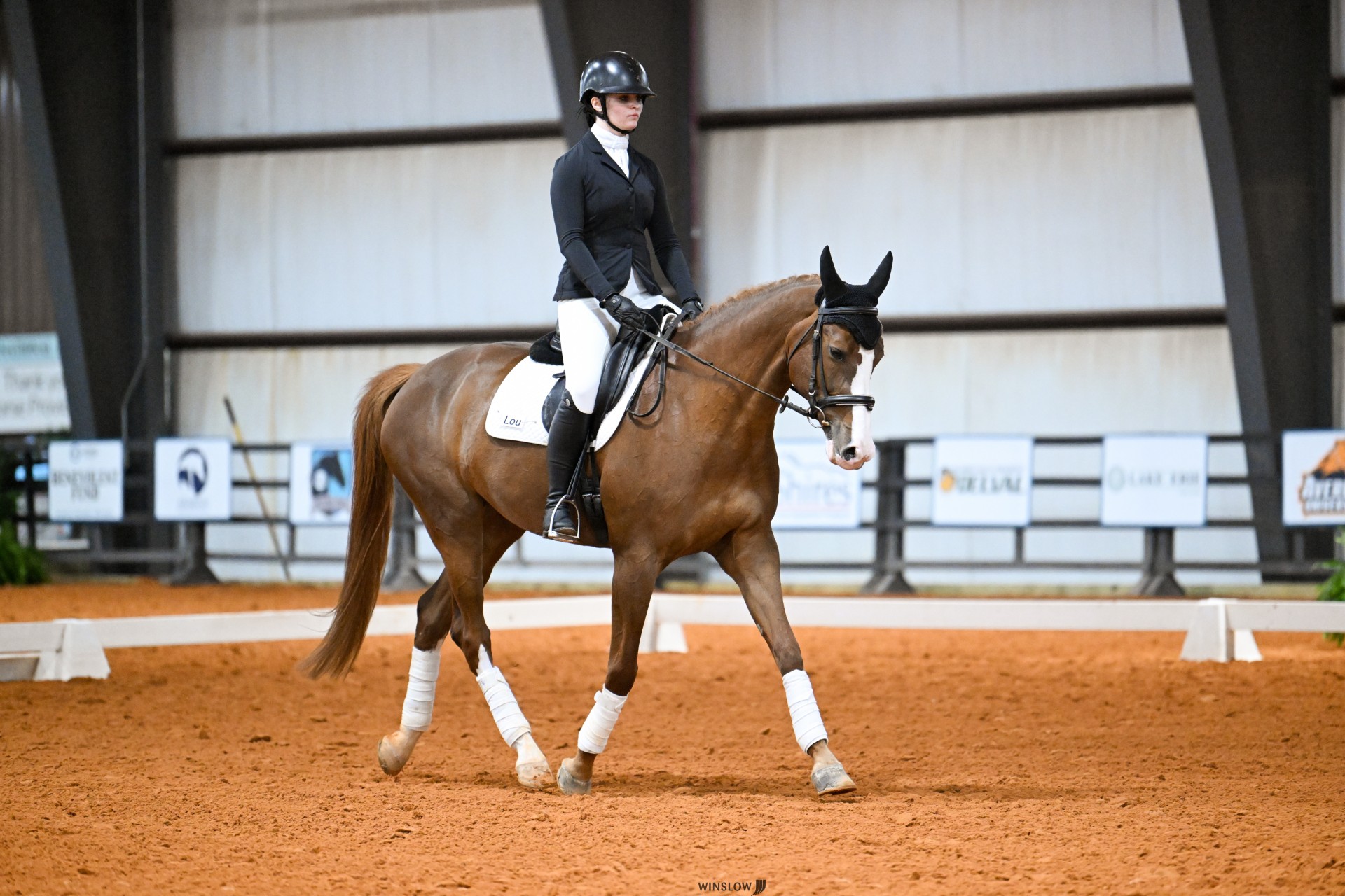 Contact Us | UConn Dressage Team